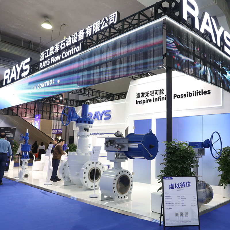 Video Rays Flow Control Industrial Valves Manufacturer Rays Flow
